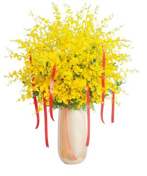 Boss Dancing lady Happy birthday flowers