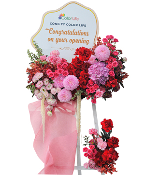 Congratulation flowers Event Flower Stand 12 Occasions