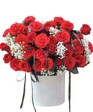 Flower bouquets Set hoa và bánh Danisa 4, flowers shop online