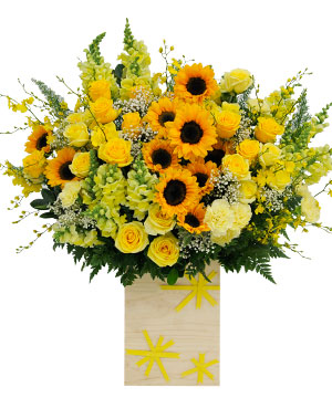 Flower boxes Wings, flowers shop online