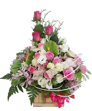 Pink flowers Mild Summer types of flowers by color